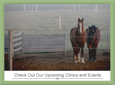 Lakefield Farm - Welcome