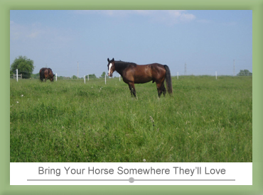 Lakefield Farm - Welcome